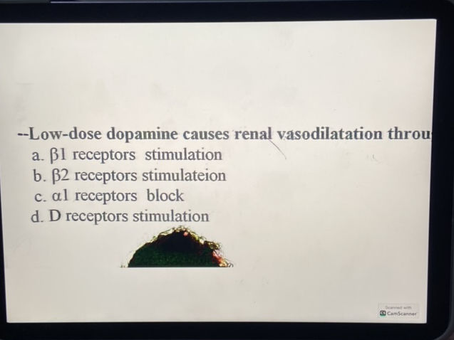 --Low-dose dopamine causes renal | StudyX