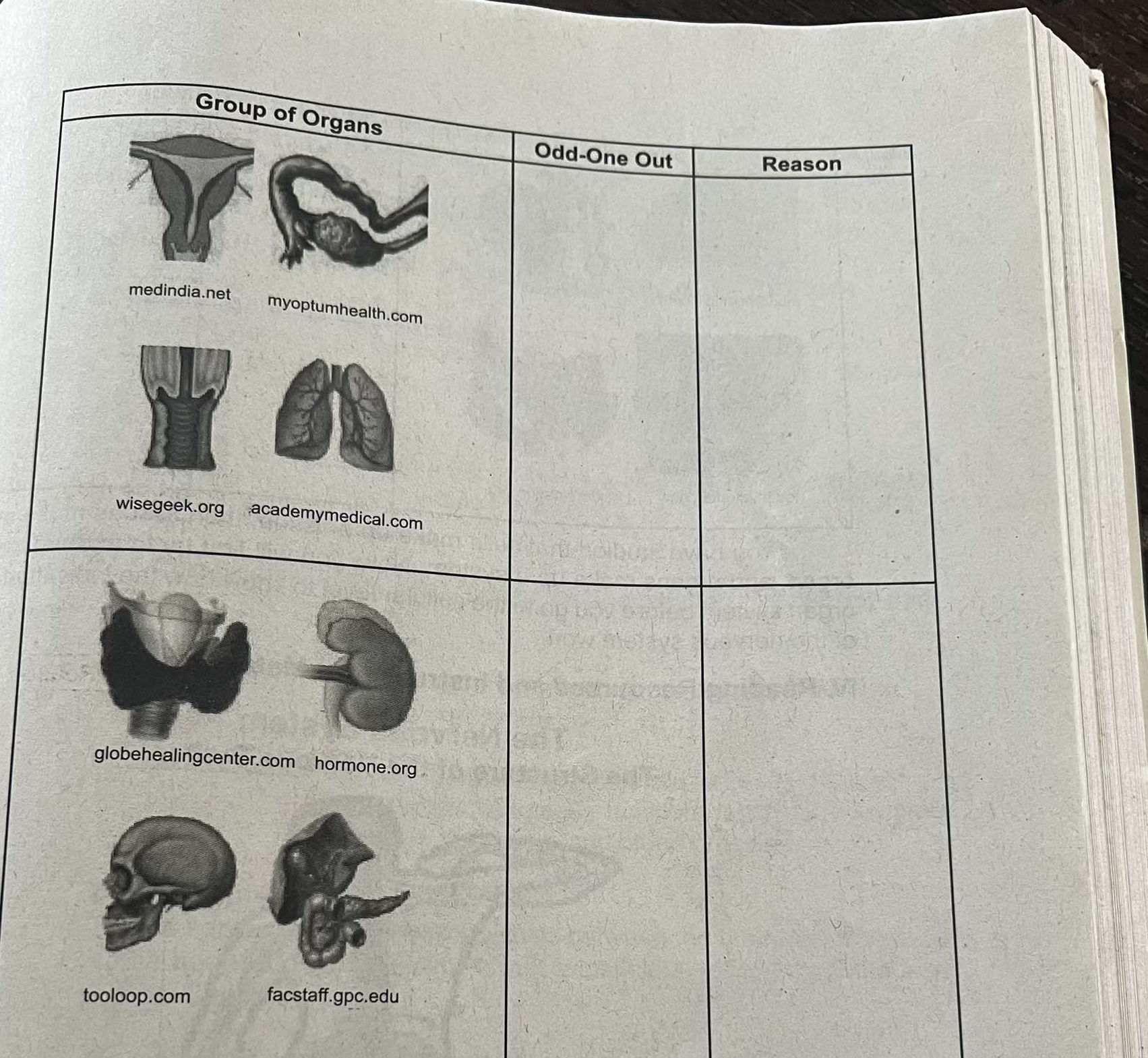 Group of Organs Odd-One Out Reason Images of | StudyX