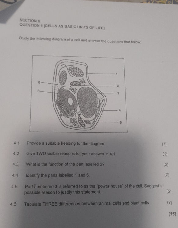 SECTION B QUESTION 4 CELLS AS BASIC UNITS OF | StudyX