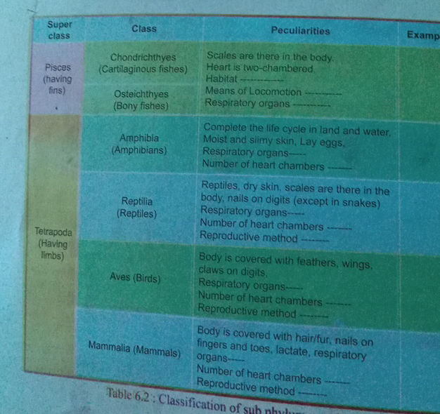 Table 62 Classification of sub phylum Super | StudyX