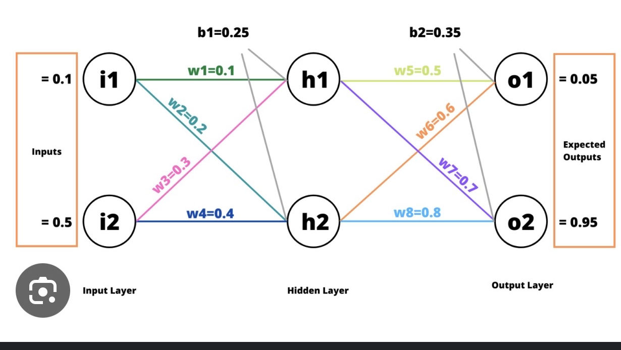 The image contains a neural network diagram | StudyX