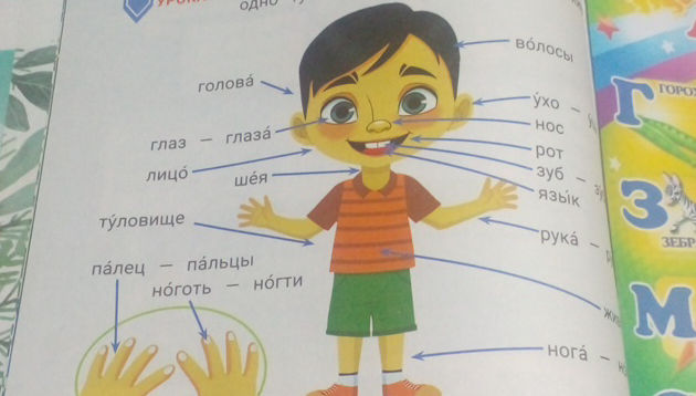 The image contains a diagram showing | StudyX