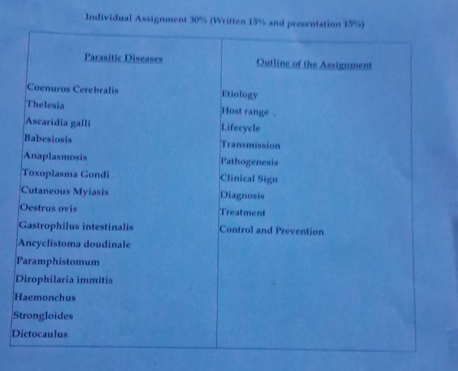 Individual Assignment 30 (Written 15 and | StudyX