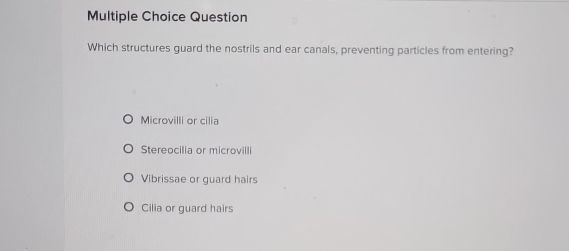 Multiple Choice Question Which structures