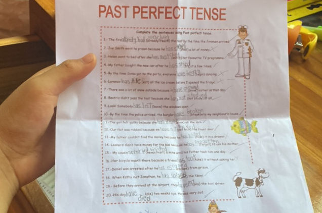 PAST PERFECT TENSE Complete the sentences | StudyX