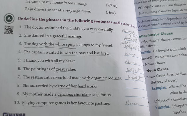 Underline the phrases in the following | StudyX