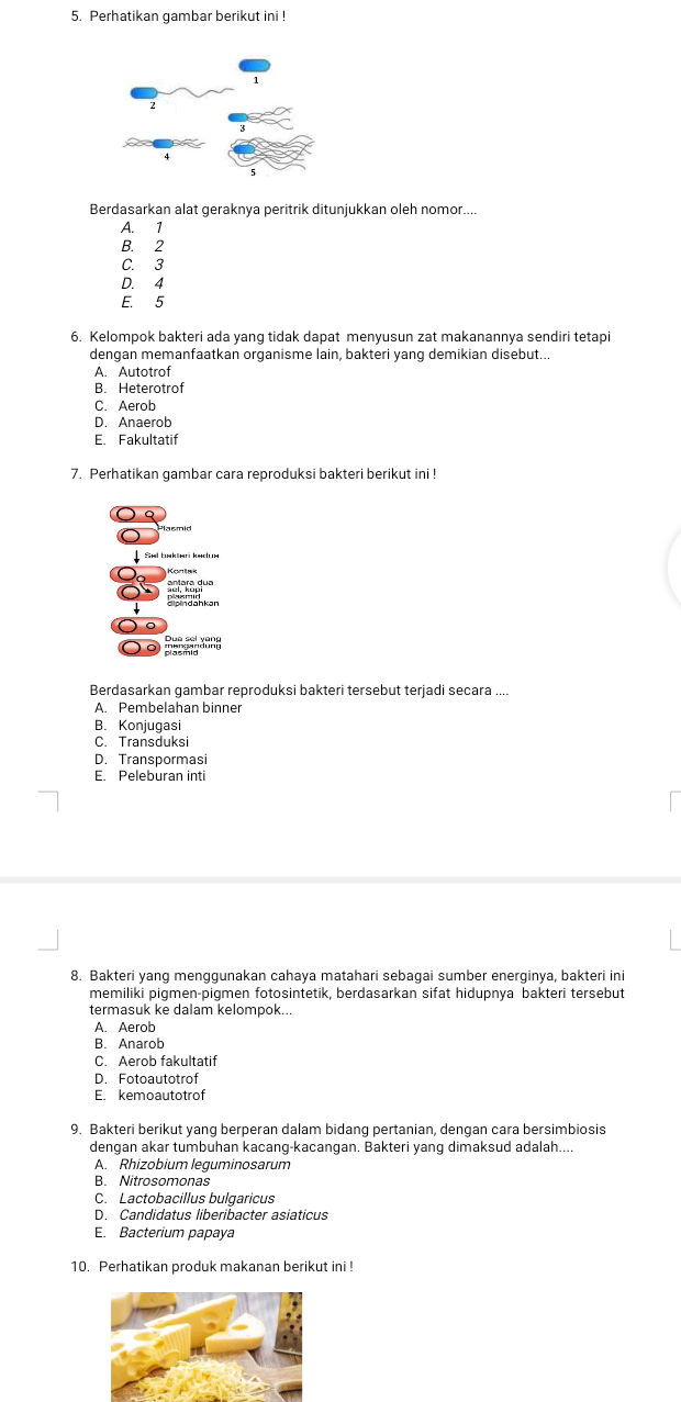 5 Perhatikan gambar berikut ini Berdasarkan | StudyX