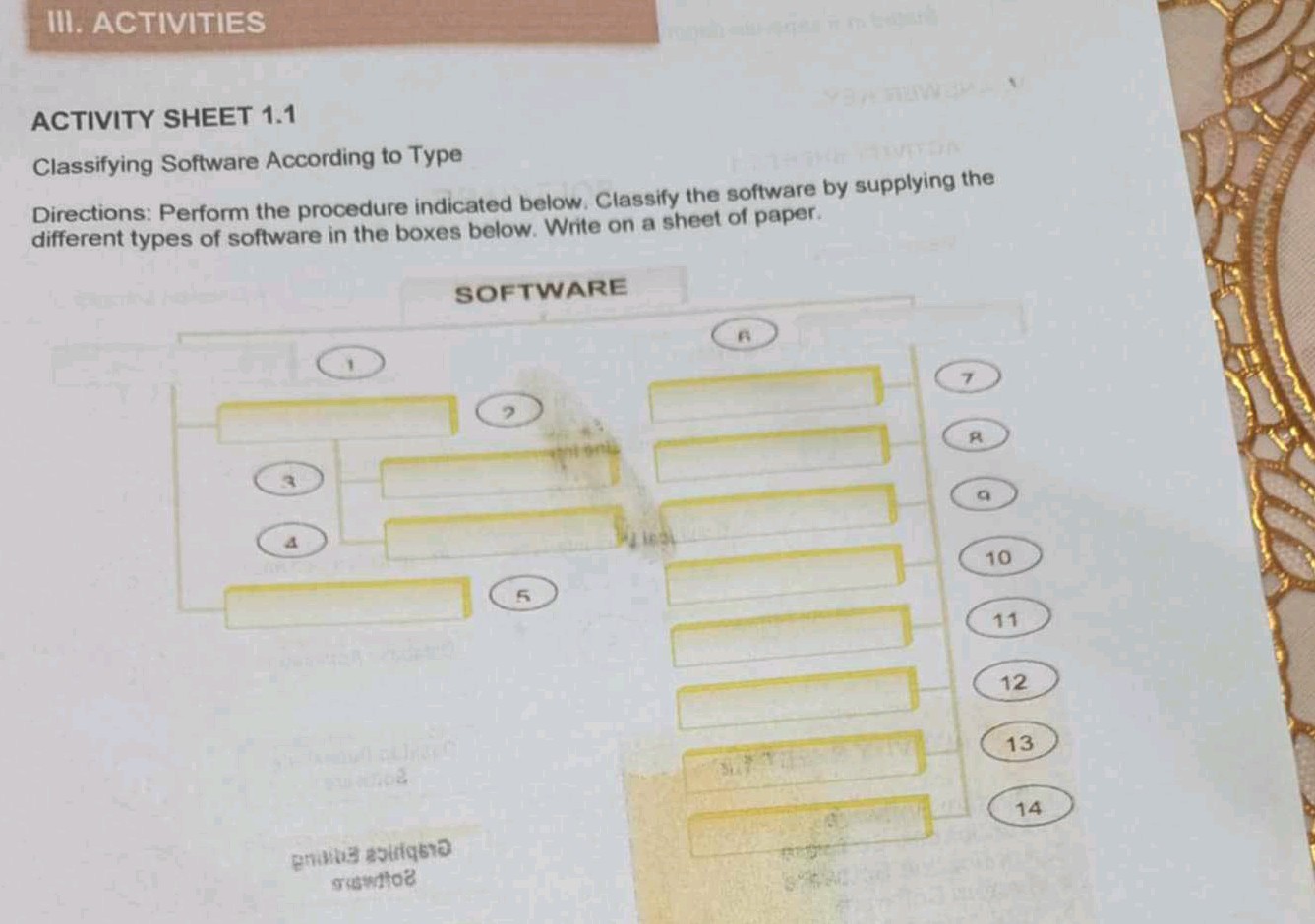 ACTIVITY SHEET 11 Classifying Software | StudyX