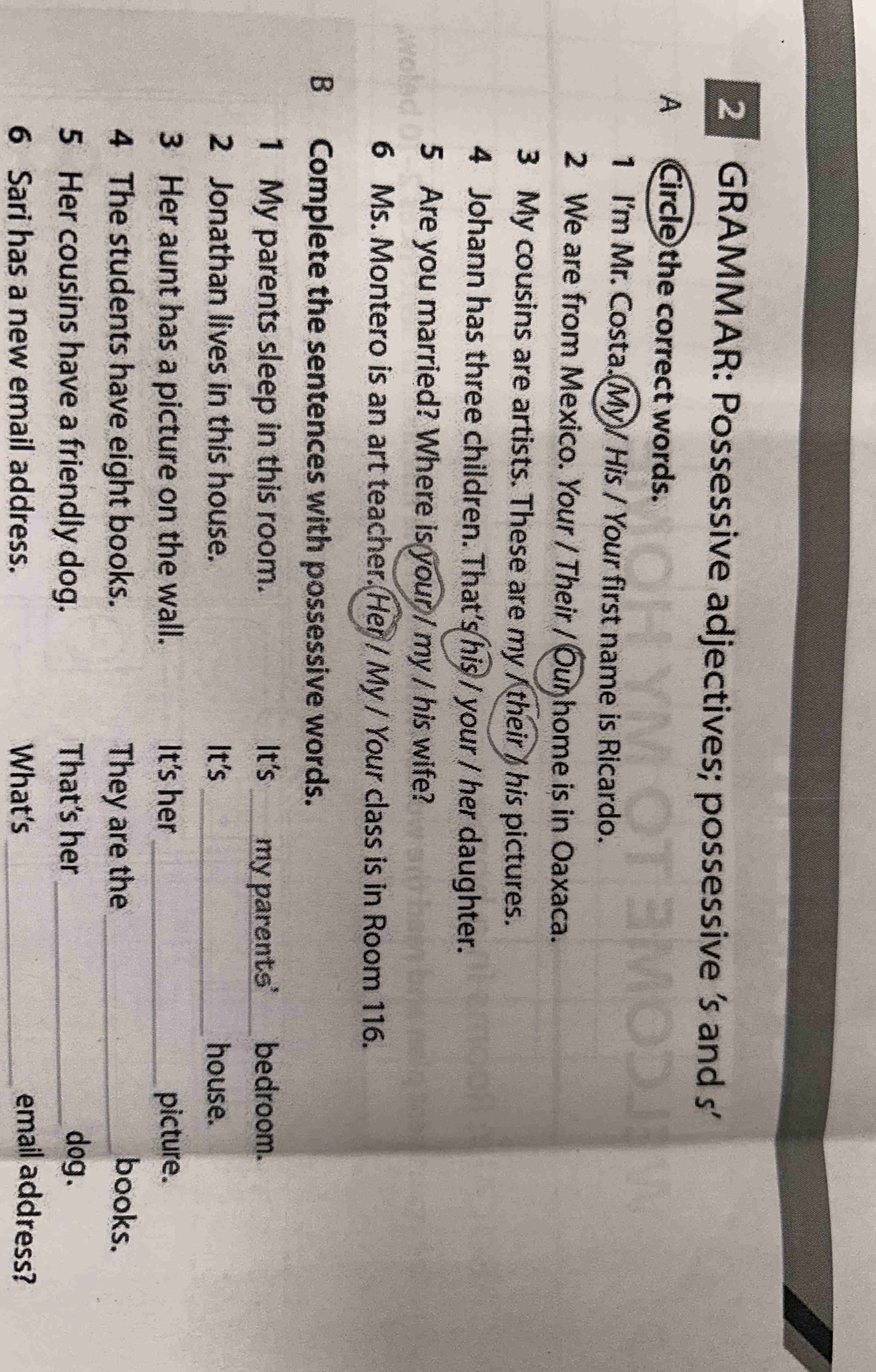 B 2 GRAMMAR Possessive adjectives possessive | StudyX