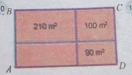 The figure shows a rectangular land divided | StudyX