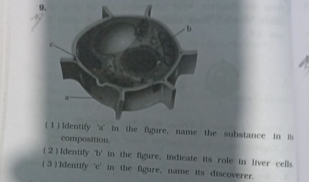 (1) Identify a in the figure name the | StudyX