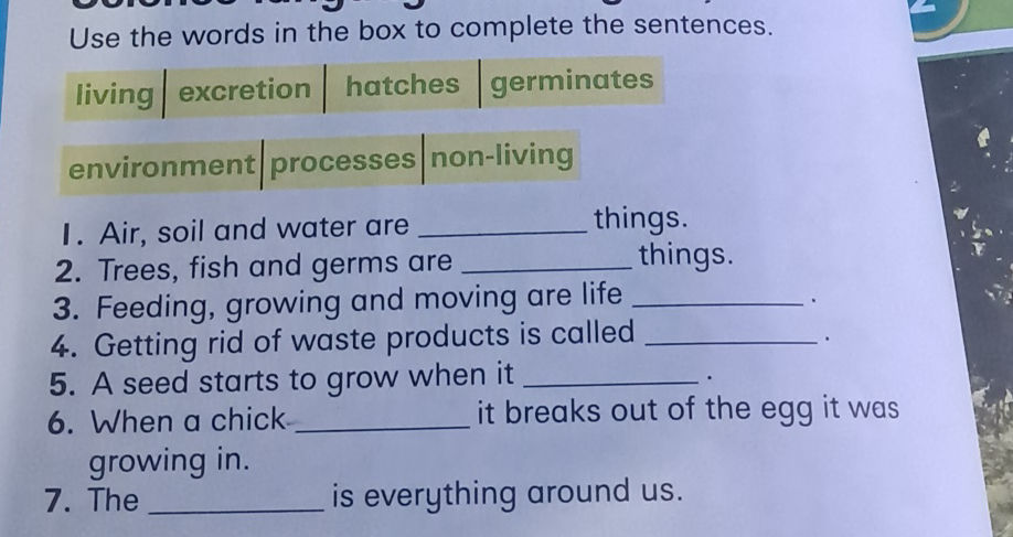 Use the words in the box to complete the | StudyX