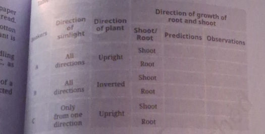Direction of growth of root and shoot | StudyX