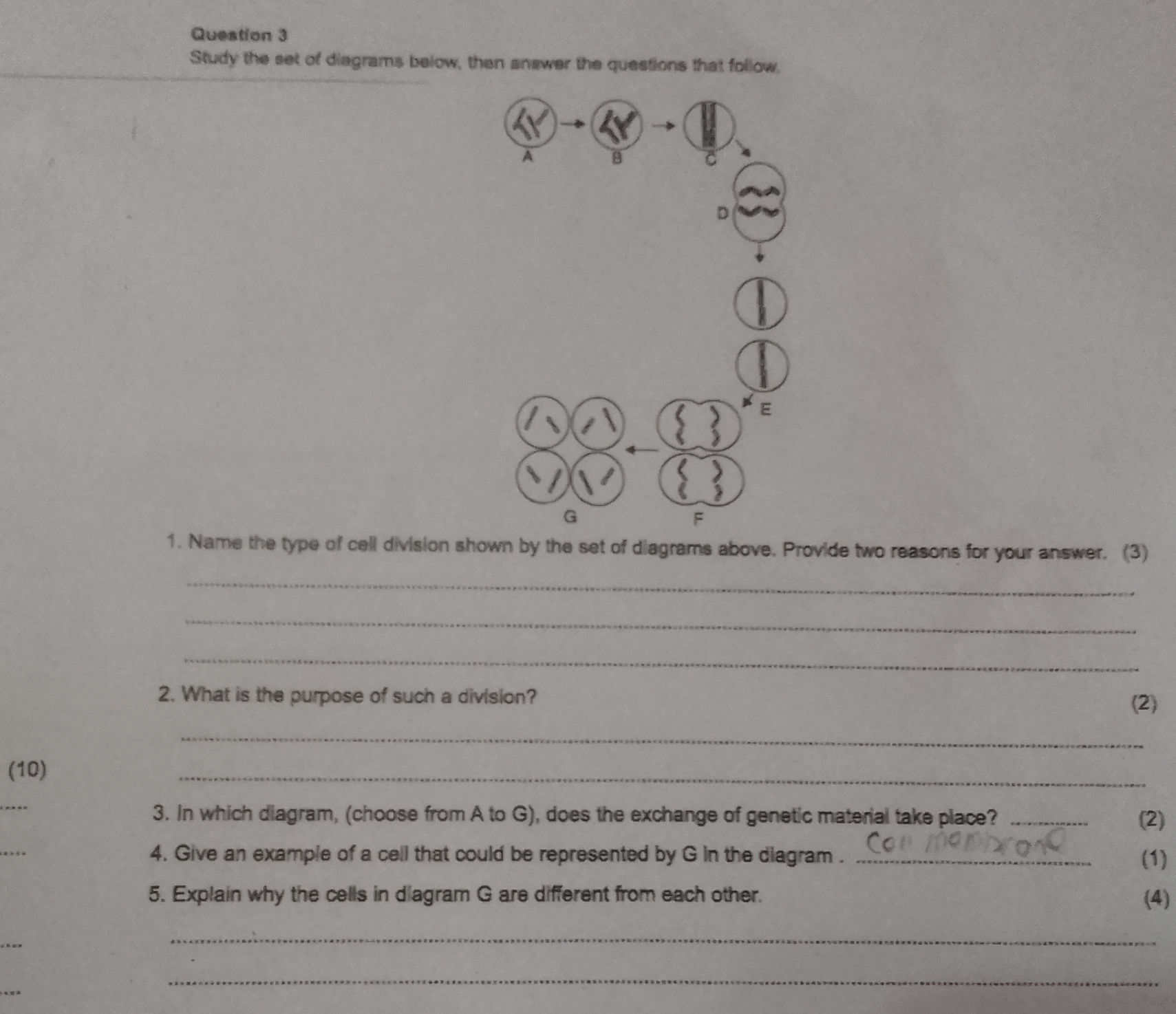 Question 3 Study the set of diagrams below | StudyX