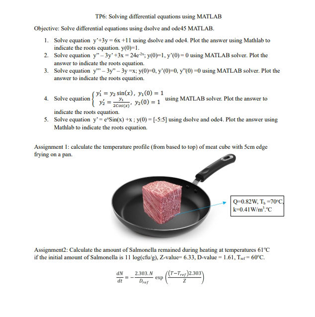 Tp6 Solving Differential Equations Using Studyx