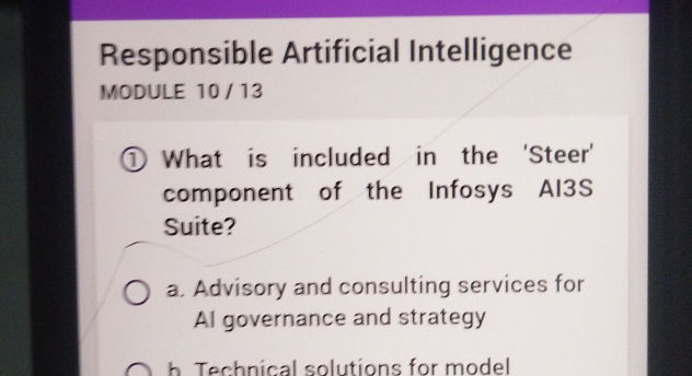 Responsible Artificial Intelligence MODULE | StudyX