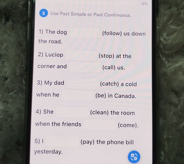 Use Past Simple or Past Continuous 1) The | StudyX
