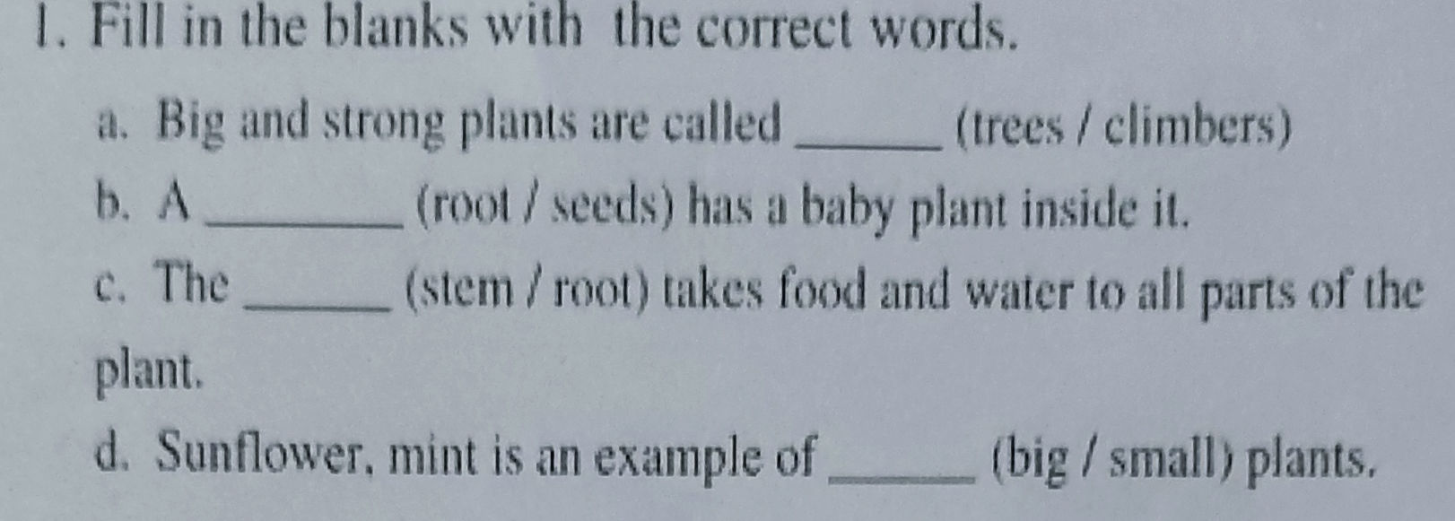 1 Fill in the blanks with the correct words | StudyX