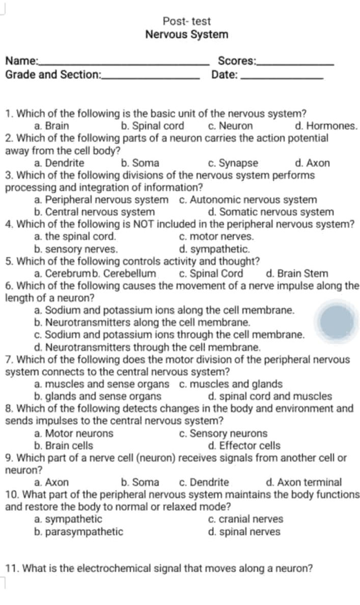 Name Grade and Section Post-test Nervous | StudyX