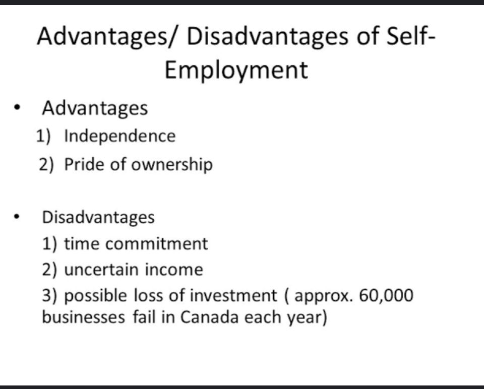 Advantages/ Disadvantages of Self-Employment | StudyX
