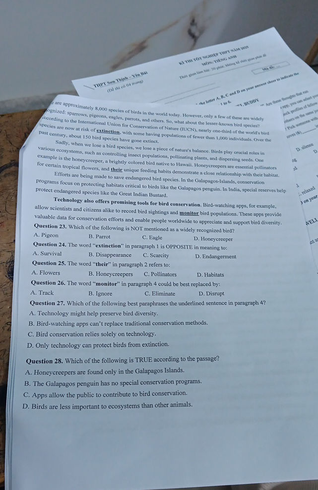 are approximately 8000 species of birds in | StudyX