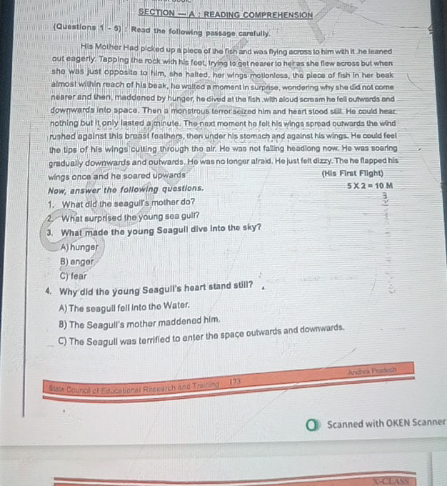 SECTION A READING COMPREHENSION (Questions | StudyX