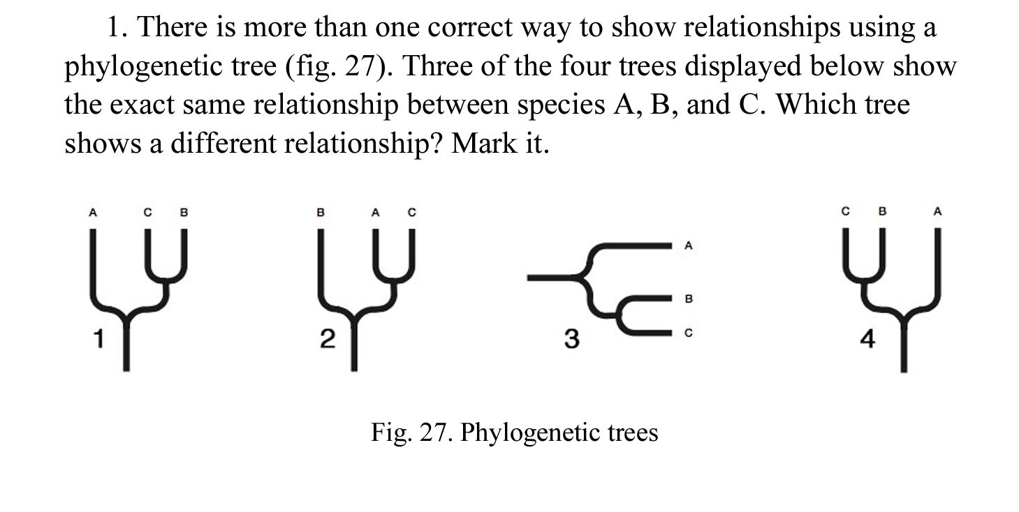 1 There is more than one correct way to show