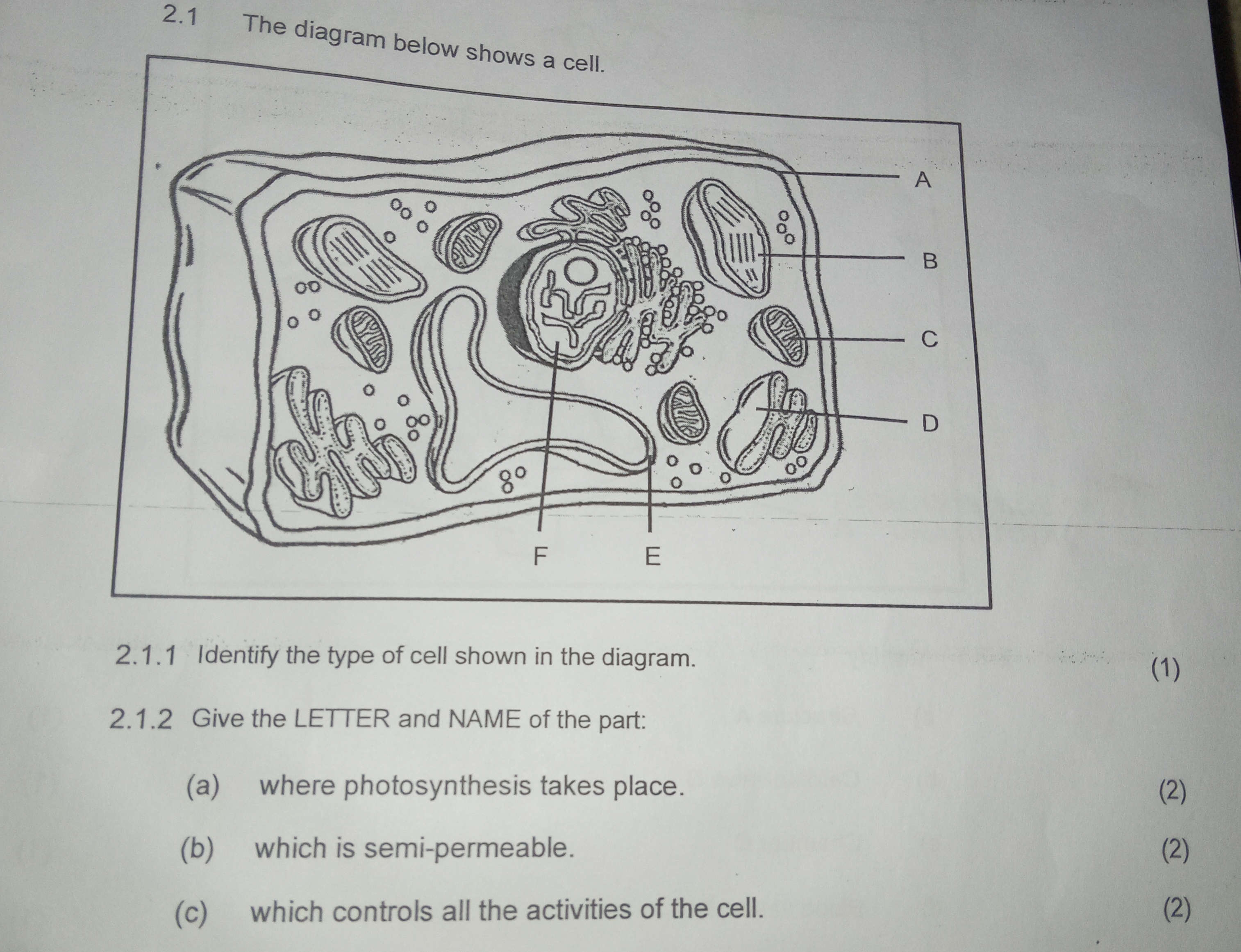 21 The diagram below shows a cell 211