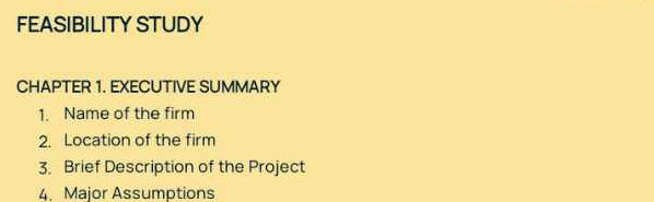 FEASIBILITY STUDY CHAPTER 1 EXECUTIVE | StudyX