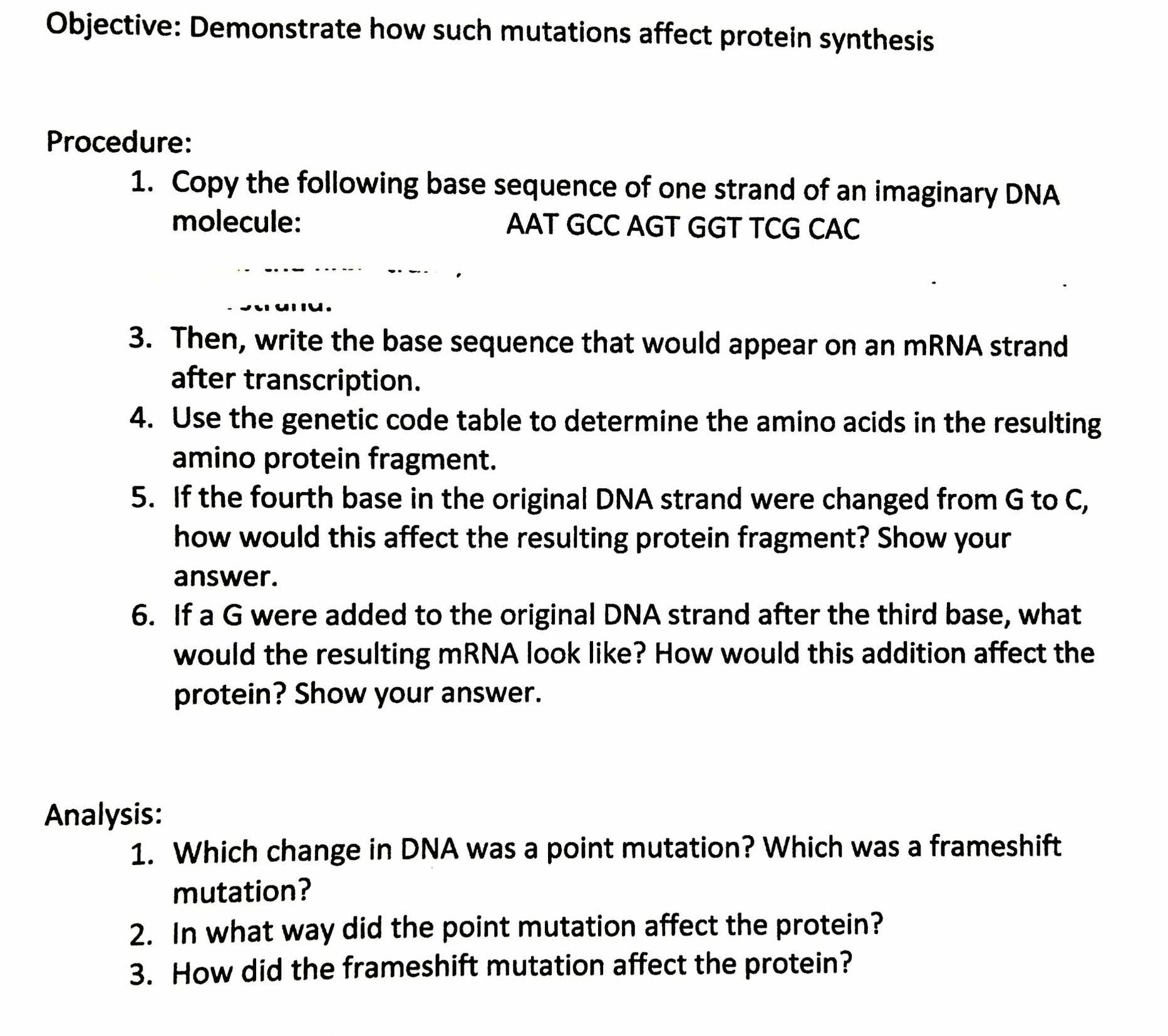 Objective Demonstrate how such mutations | StudyX