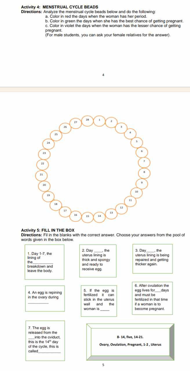 Activity 4 MENSTRUAL CYCLE BEADS Directions | StudyX