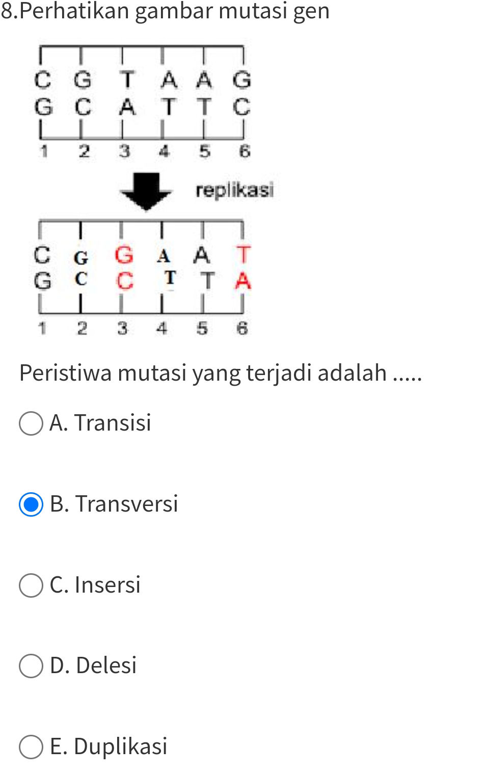 8 Perhatikan gambar mutasi gen CGTAAG GCATTC | StudyX