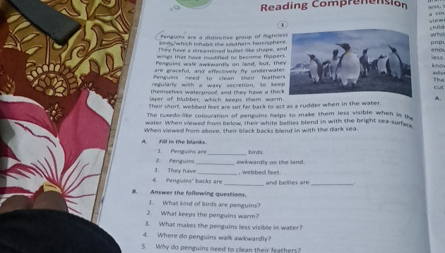 Reading Comprehension 1 Penguins are a | StudyX