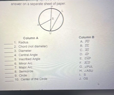 answer on a separate sheet of paper P L S | StudyX