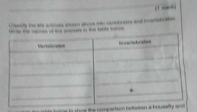 Classify the six animals shown above into | StudyX