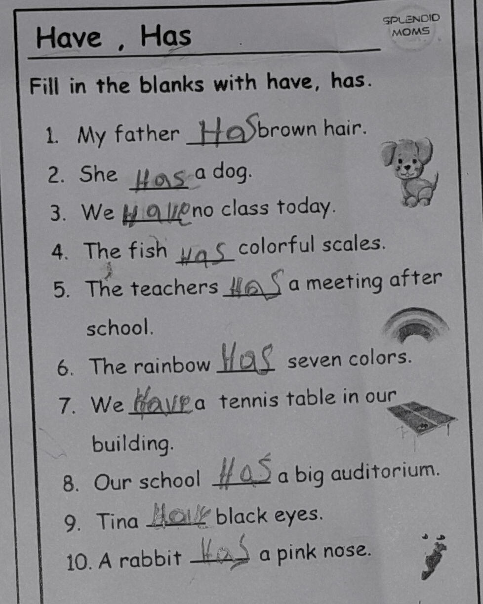 Have Has Fill in the blanks with have has 1