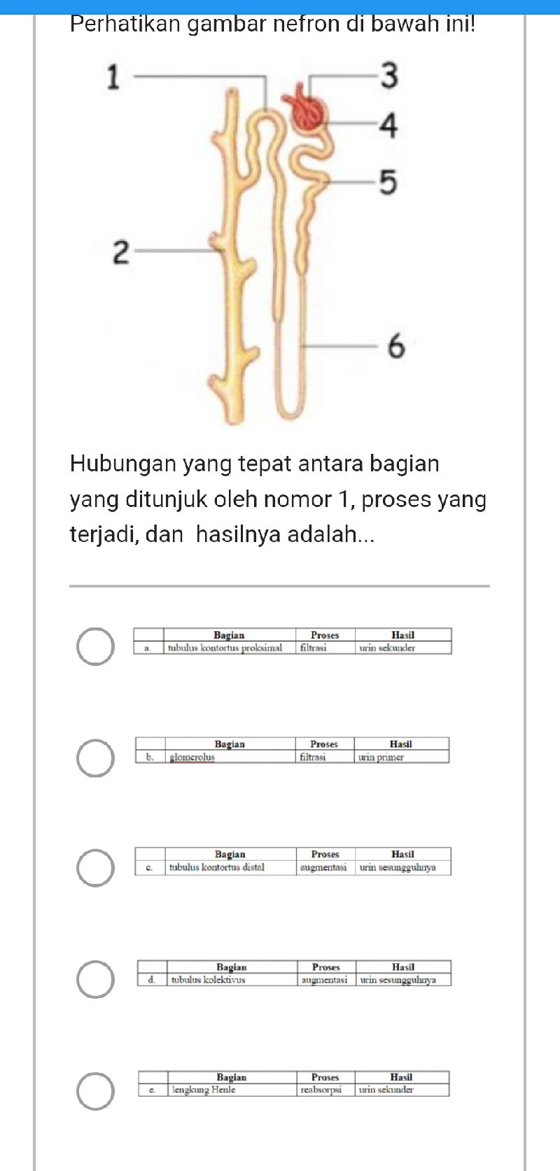 Perhatikan gambar nefron di bawah ini 1 2 3 | StudyX