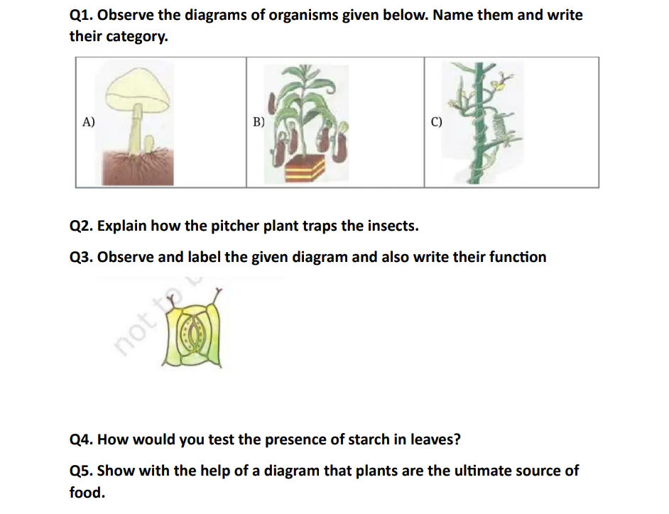 Q1 Observe the diagrams of organisms given | StudyX