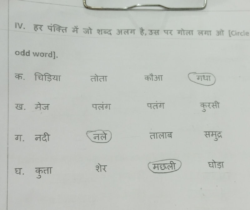 IV Circle odd word | StudyX