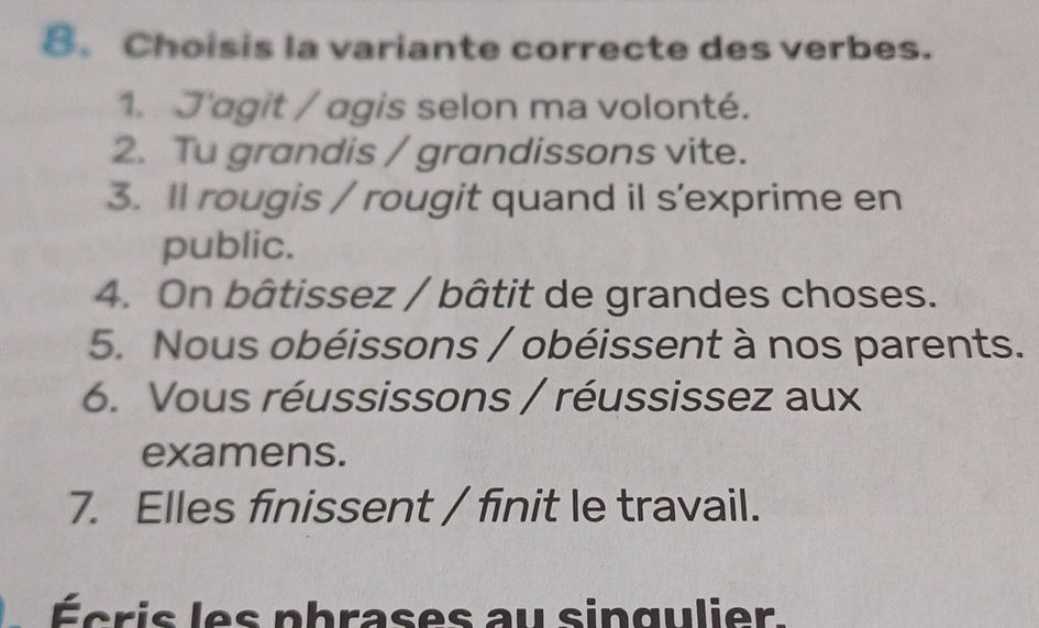 8 Choisis la variante correcte des verbes 1 | StudyX