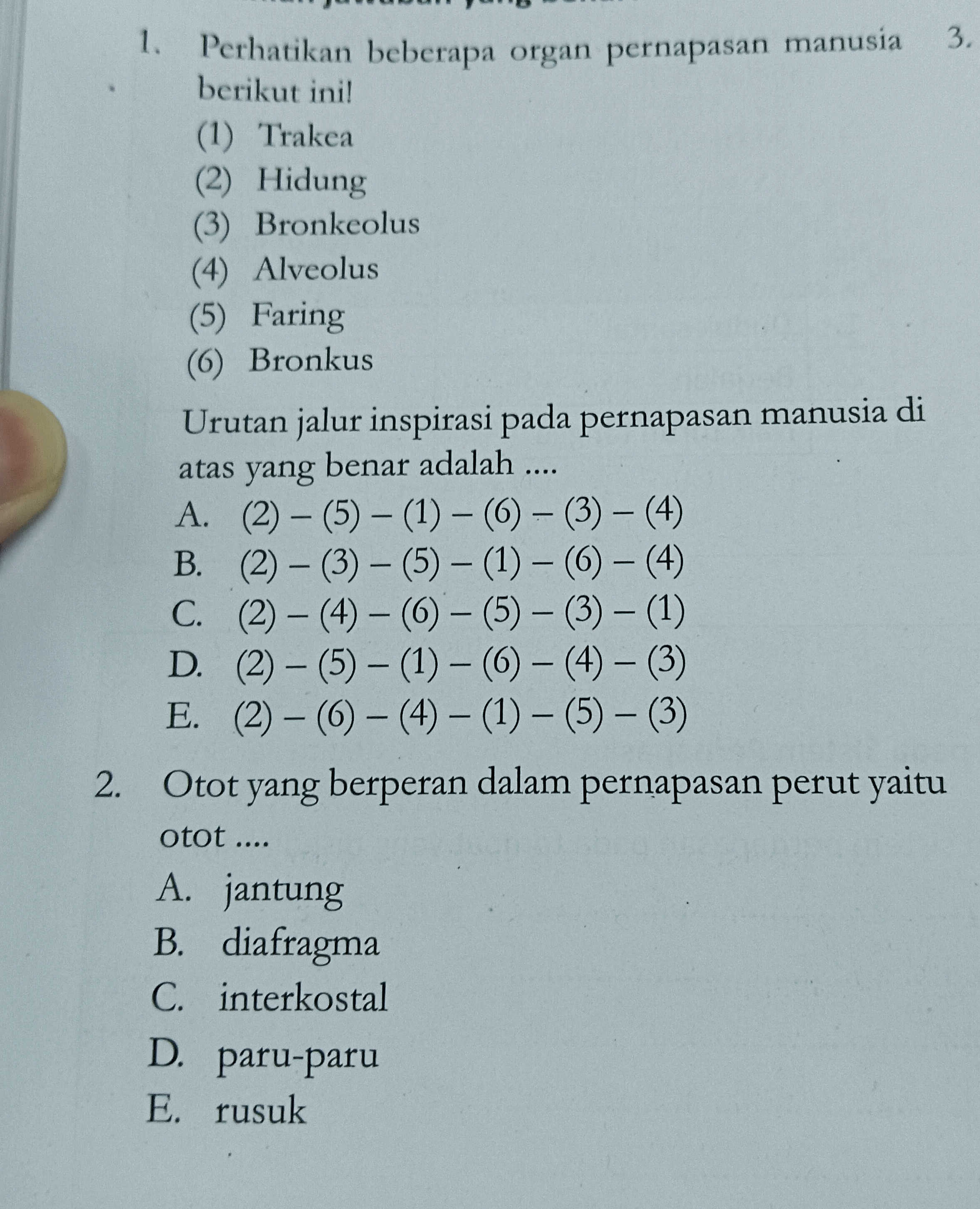 1 Perhatikan beberapa organ pernapasan | StudyX