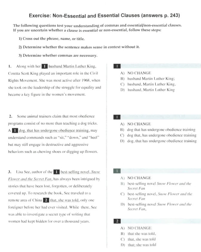 Exercise Non-Essential and Essential Clauses | StudyX