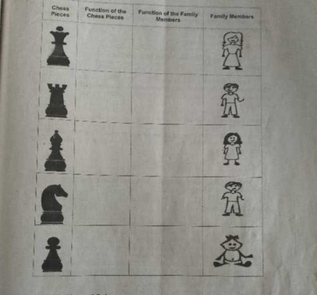Chess PiecesFunction of the Chess | StudyX