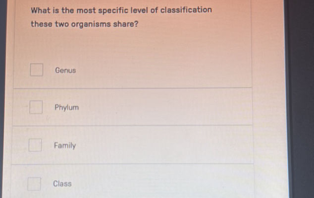 What is the most specific level of | StudyX
