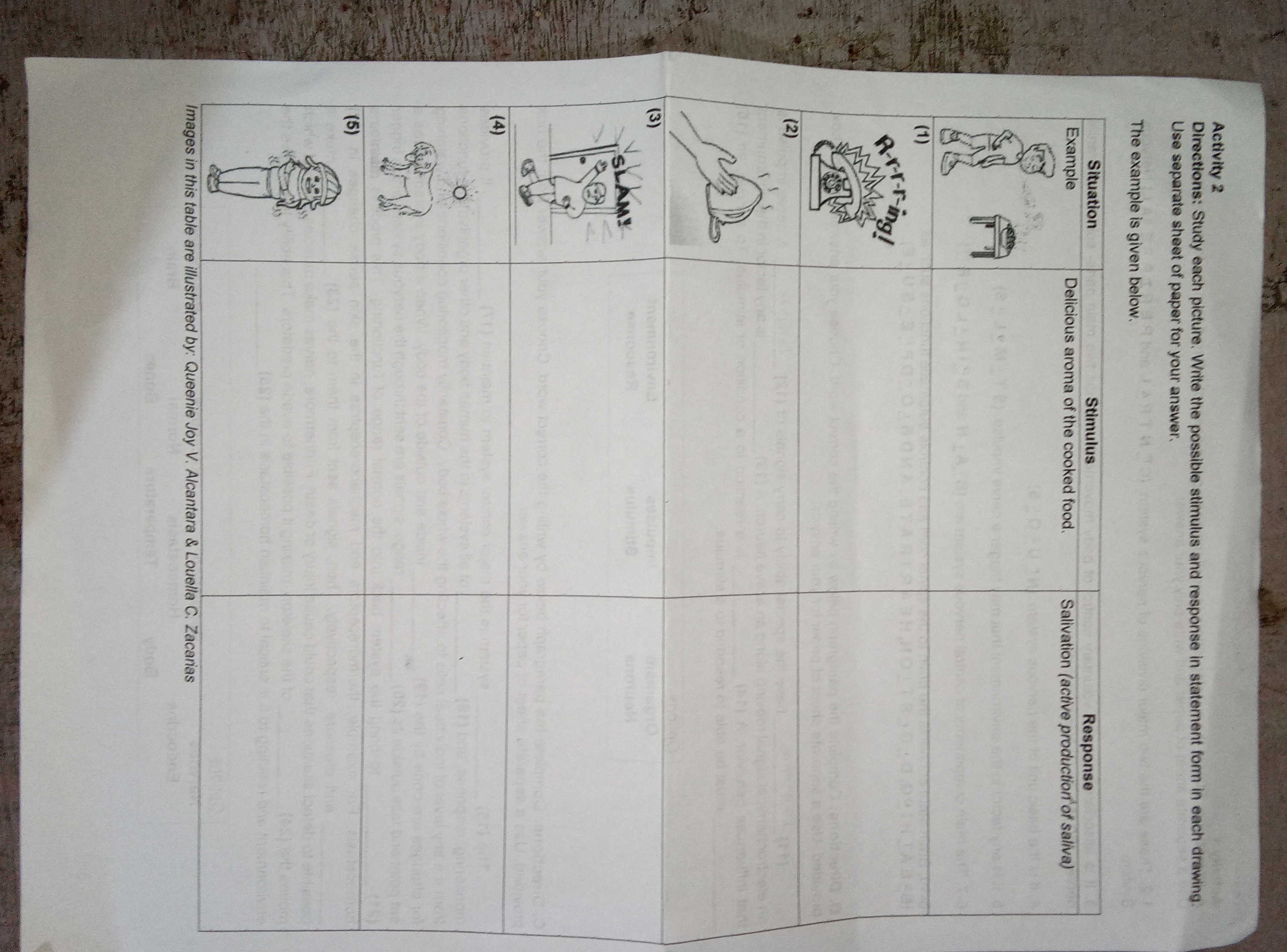 Activity 2 Directions Study each picture | StudyX