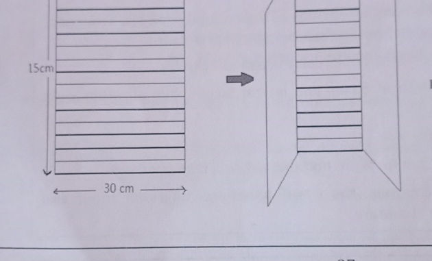 A rectangular piece of paper with dimensions | StudyX