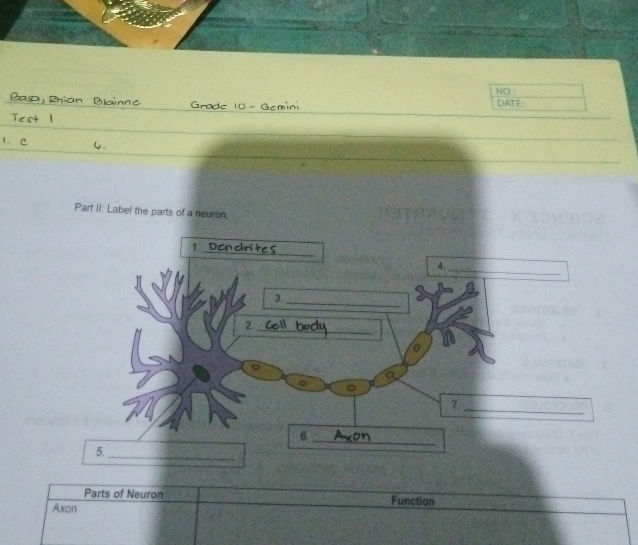 Part II Label the parts of a neuron Image of | StudyX