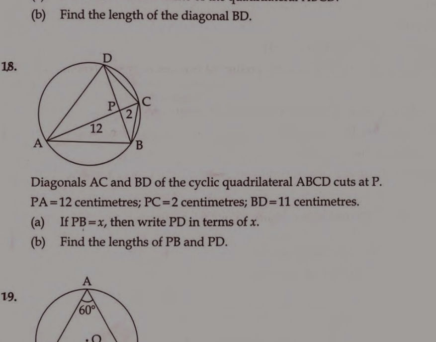 18 (b) Find the length of the diagonal BD D | StudyX