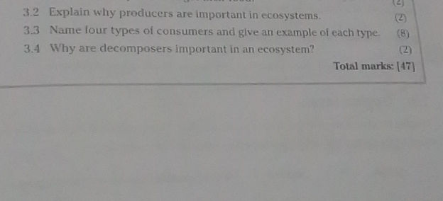 32 Explain why producers are important in | StudyX
