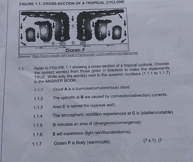 FIGURE 11 CROSS-SECTION OF A TROPICAL